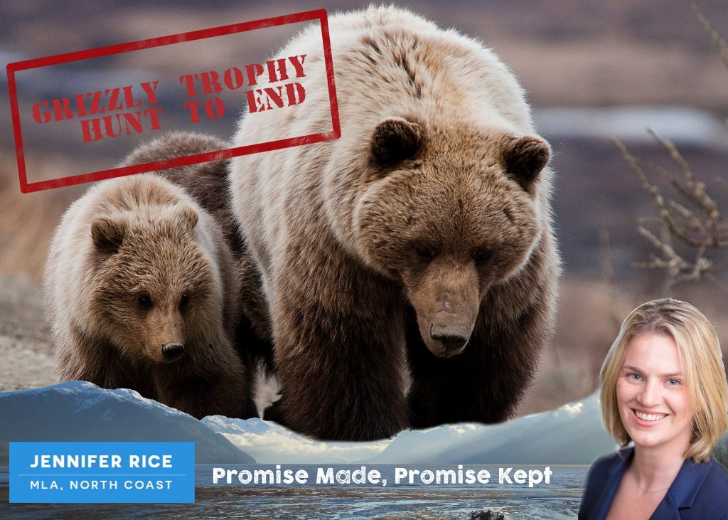 Jennifer Rice reacts to New Democrat government decision to end grizzly ...
